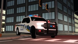 Falcon Advance SSV 2018 | Emergency Response Liberty County Wiki | Fandom