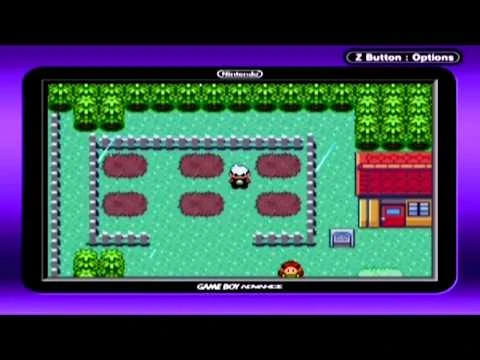 Pokémon Emerald - Episode 24 | Chuggaaconroy Wiki | Fandom