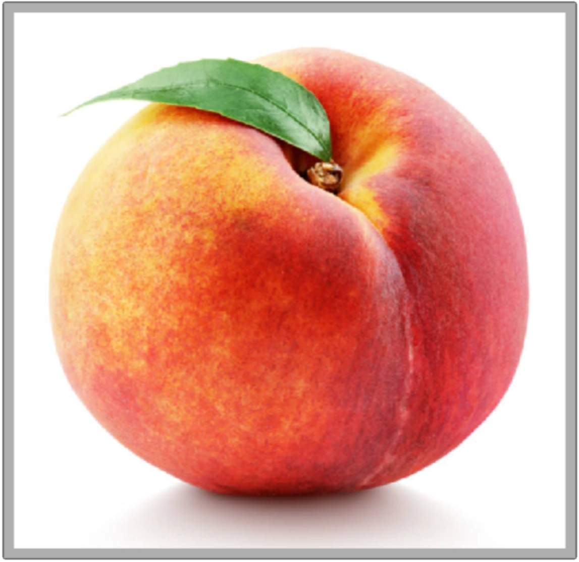 PNG Of A Peach | Emilyverse Wiki V2 Wiki | Fandom
