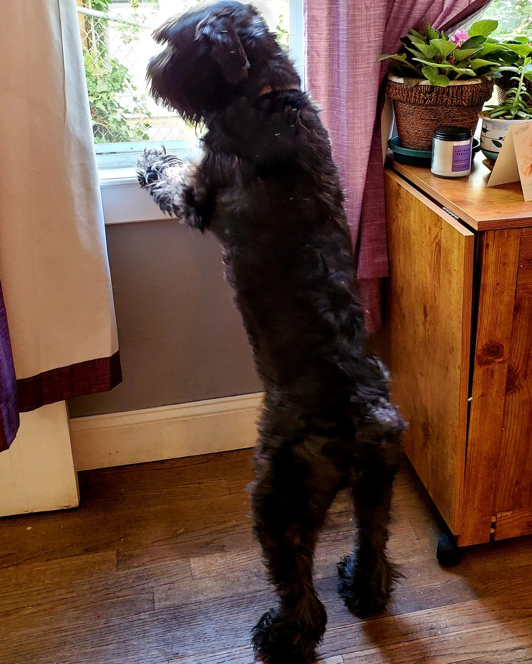 Freya K. | EmKay Wiki | Fandom