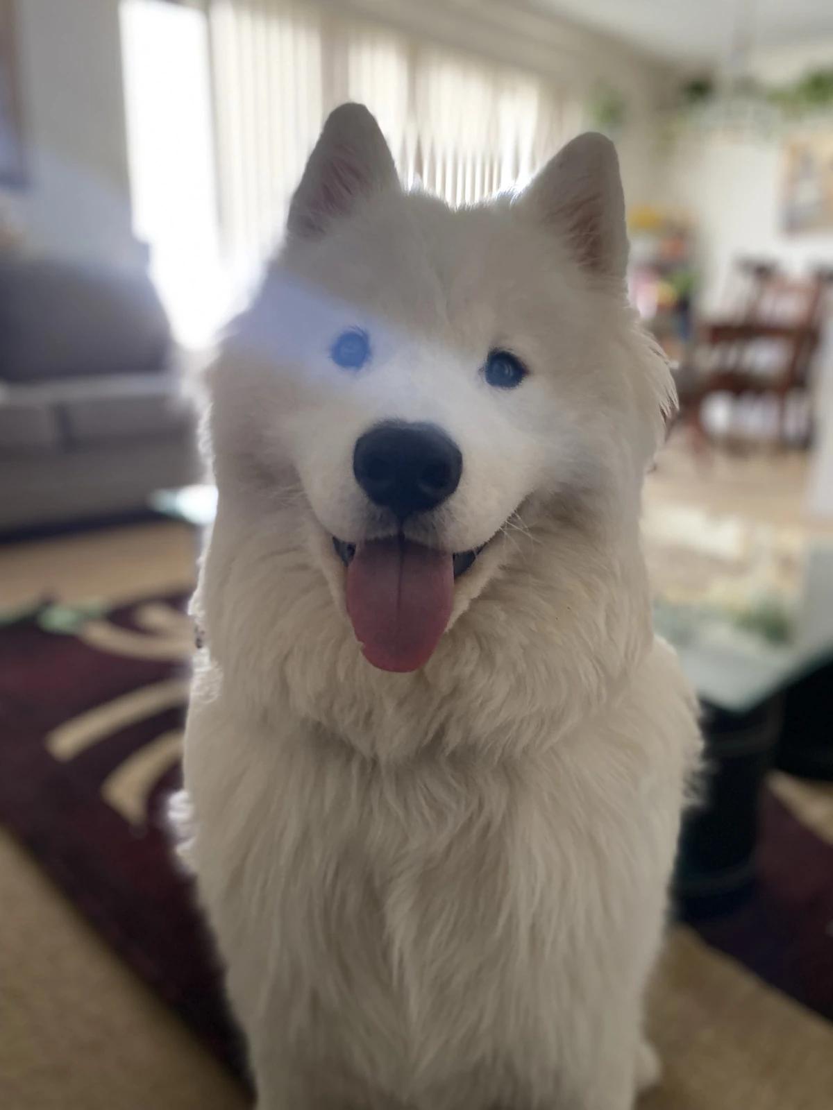 Category:Characters | EmKay Wiki | Fandom