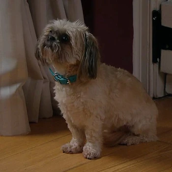 Piper | Emmerdale Wiki | Fandom