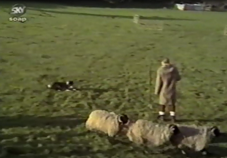 Episode 554 (14th February 1980) | Emmerdale Past & Present Wiki | Fandom