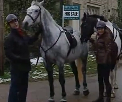 Episode 5197 (15th January 2009) | Emmerdale Past & Present Wiki | Fandom