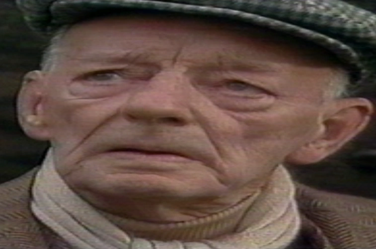 Bert Palmer | Emmerdale Past & Present Wiki | Fandom