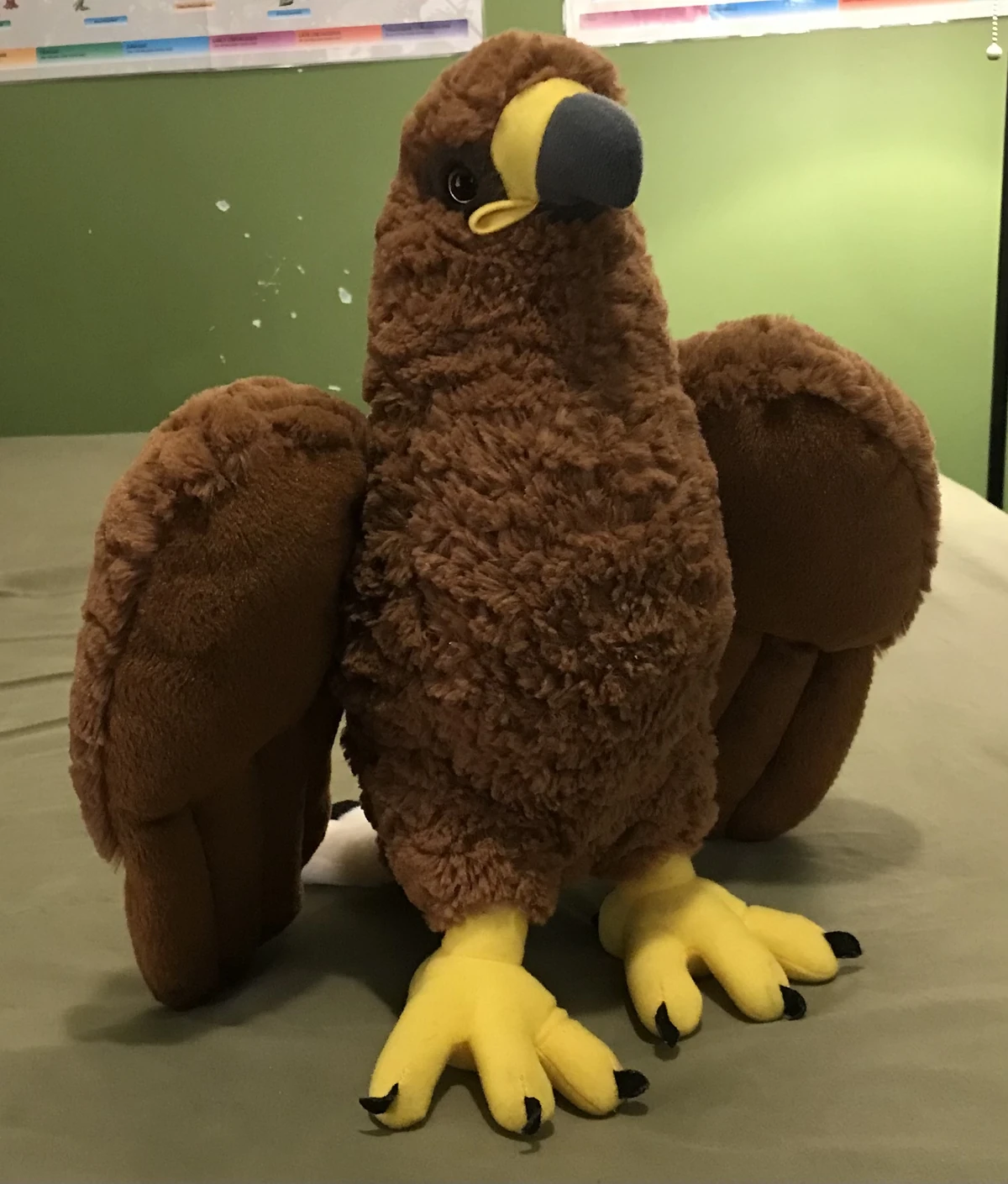 Pepe | Emmett's Stuffed Animals Wiki | Fandom