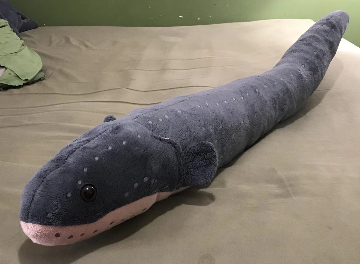 Tesla | Emmett's Stuffed Animals Wiki | Fandom