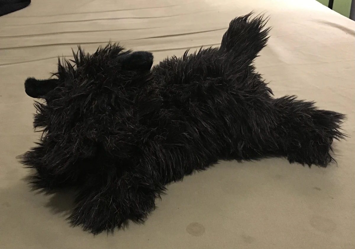 Toto | Emmett's Stuffed Animals Wiki | Fandom