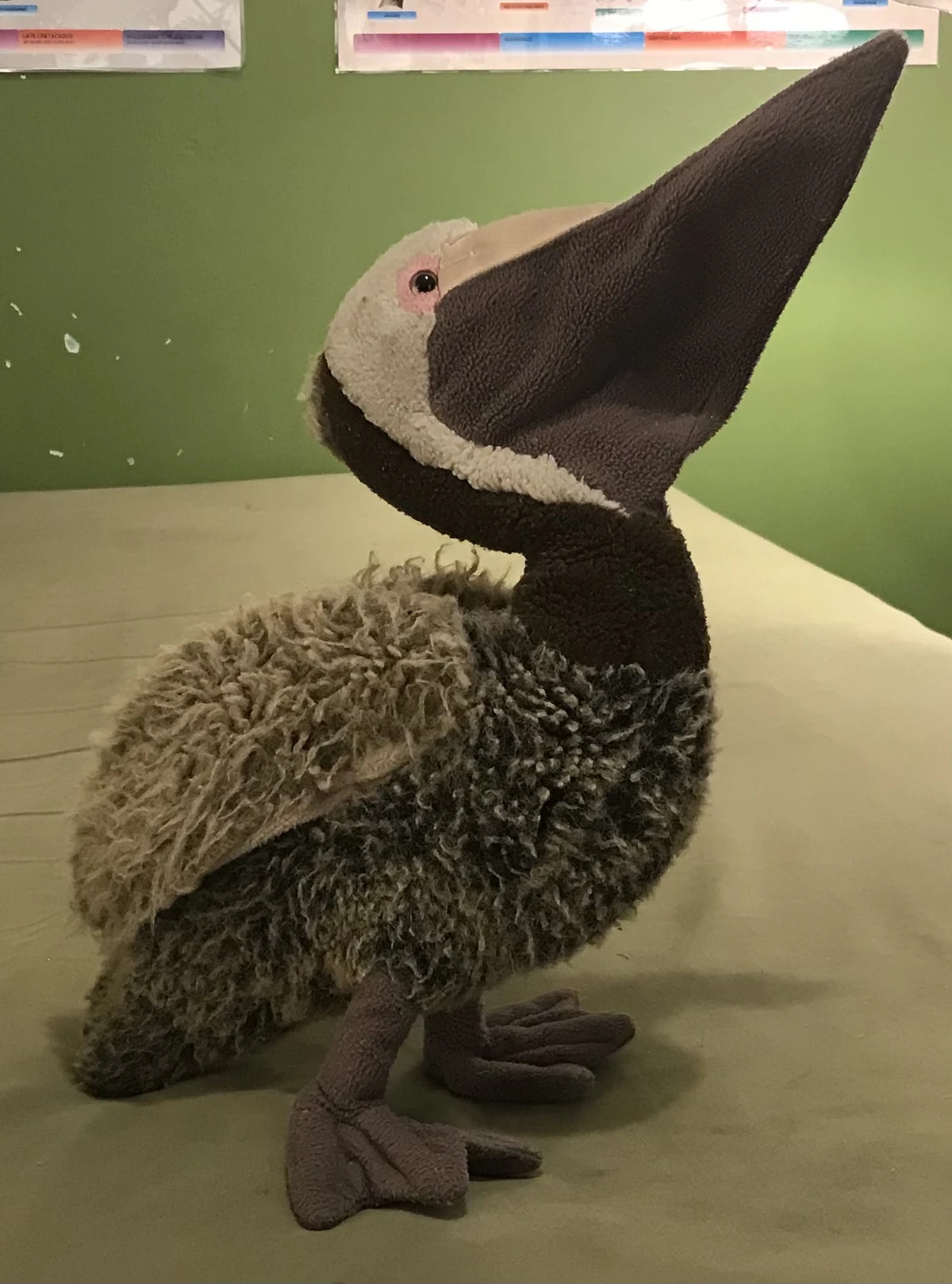 Percy | Emmett's Stuffed Animals Wiki | Fandom