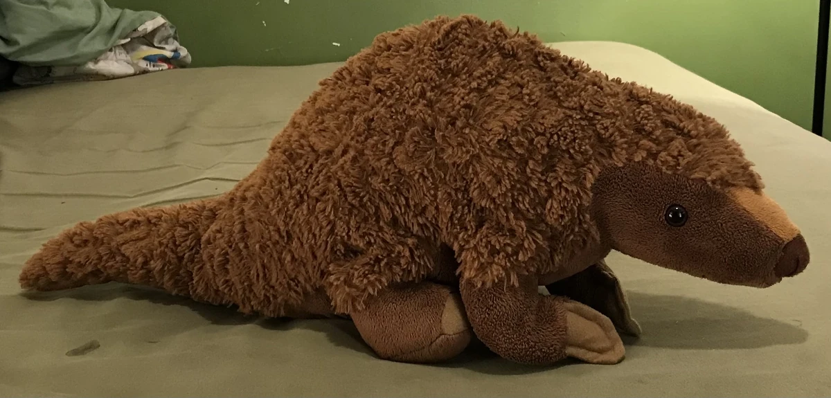 Sheldon | Emmett's Stuffed Animals Wiki | Fandom