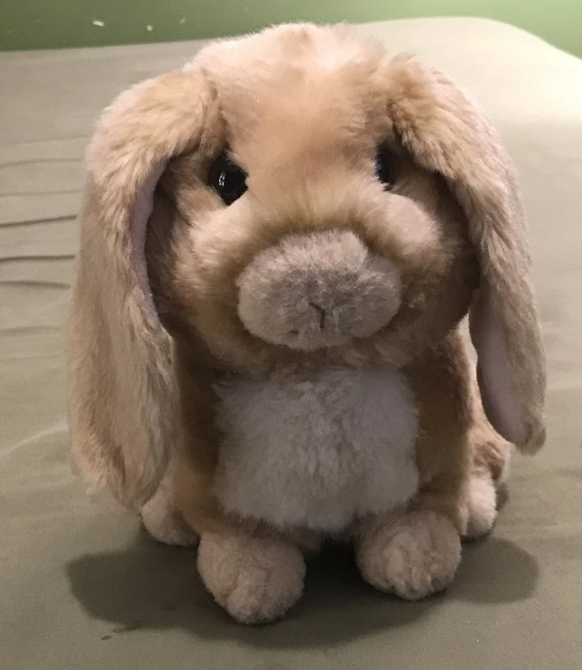 Luan | Emmett's Stuffed Animals Wiki | Fandom