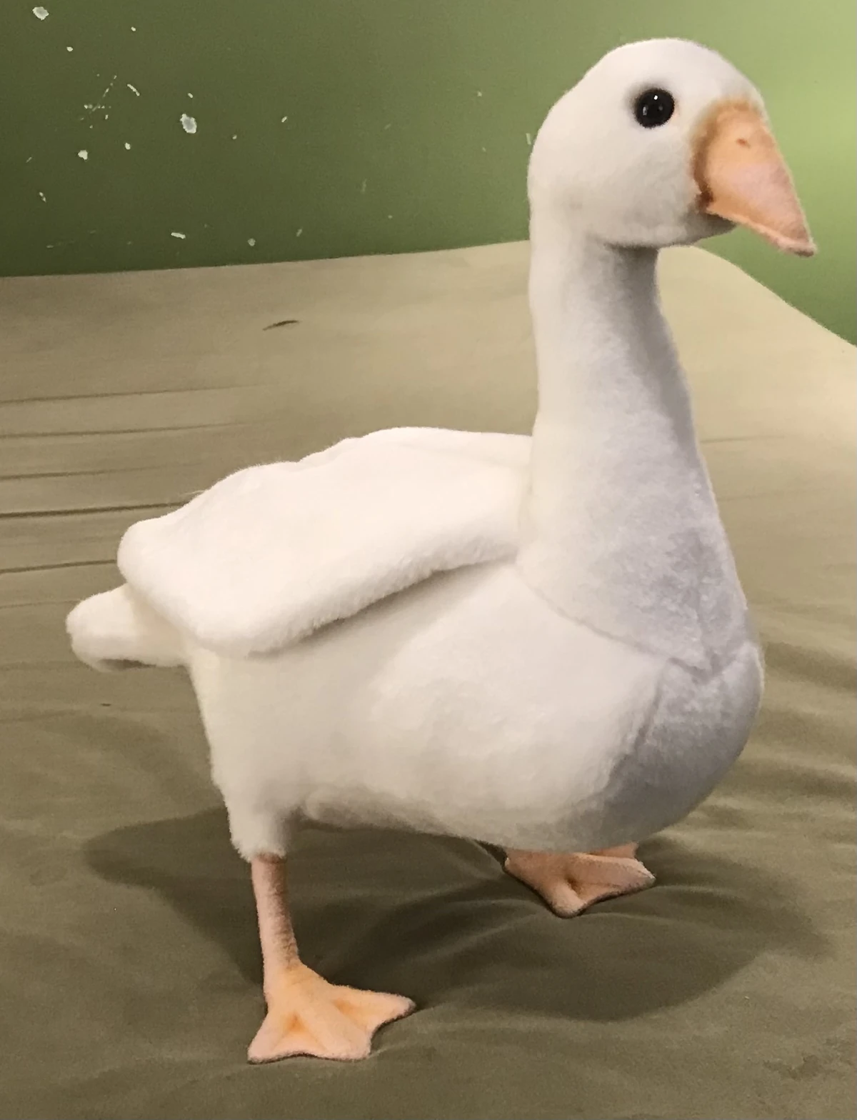 Quaker | Emmett's Stuffed Animals Wiki | Fandom