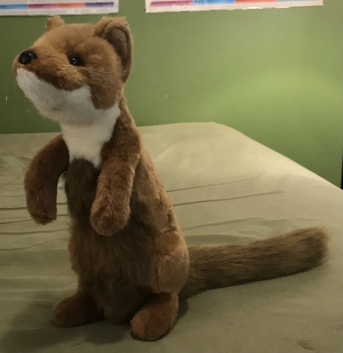 Wesley | Emmett's Stuffed Animals Wiki | Fandom