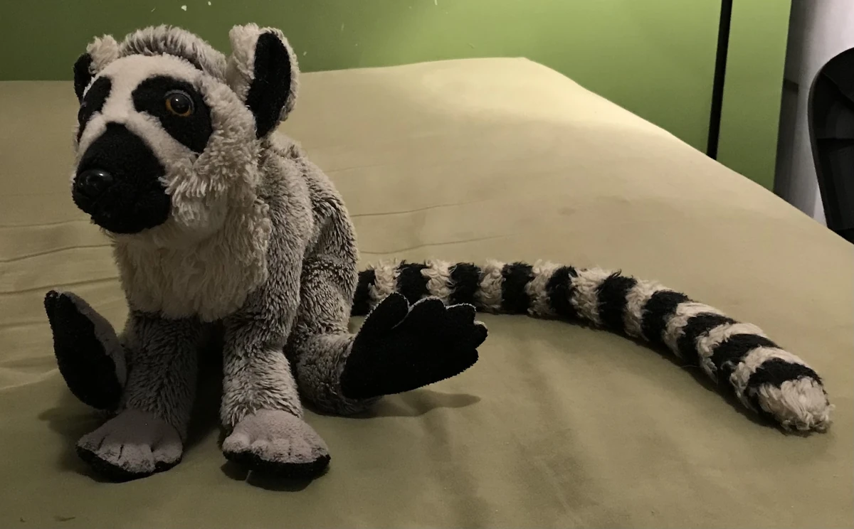 Ringo | Emmett's Stuffed Animals Wiki | Fandom