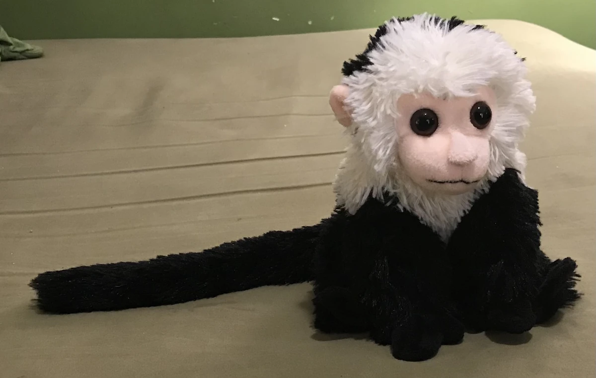 Chowder | Emmett's Stuffed Animals Wiki | Fandom