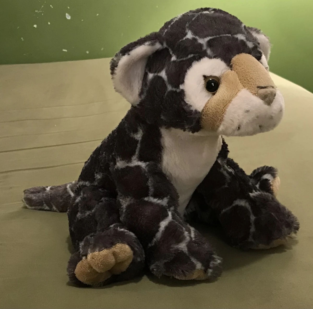 Caroline | Emmett's Stuffed Animals Wiki | Fandom