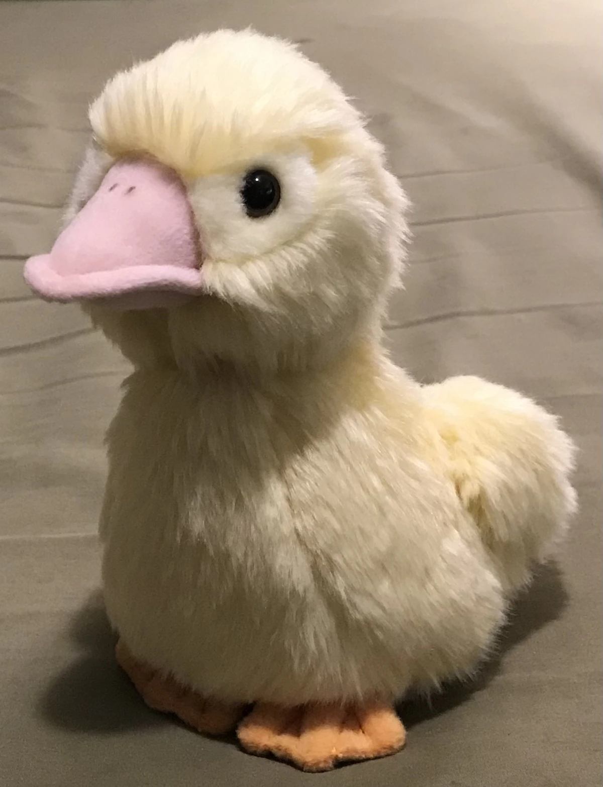 Bailey | Emmett's Stuffed Animals Wiki | Fandom