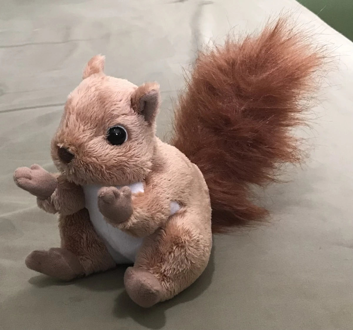 Sanjay | Emmett's Stuffed Animals Wiki | Fandom