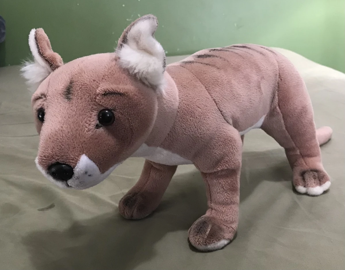 Cooper | Emmett's Stuffed Animals Wiki | Fandom