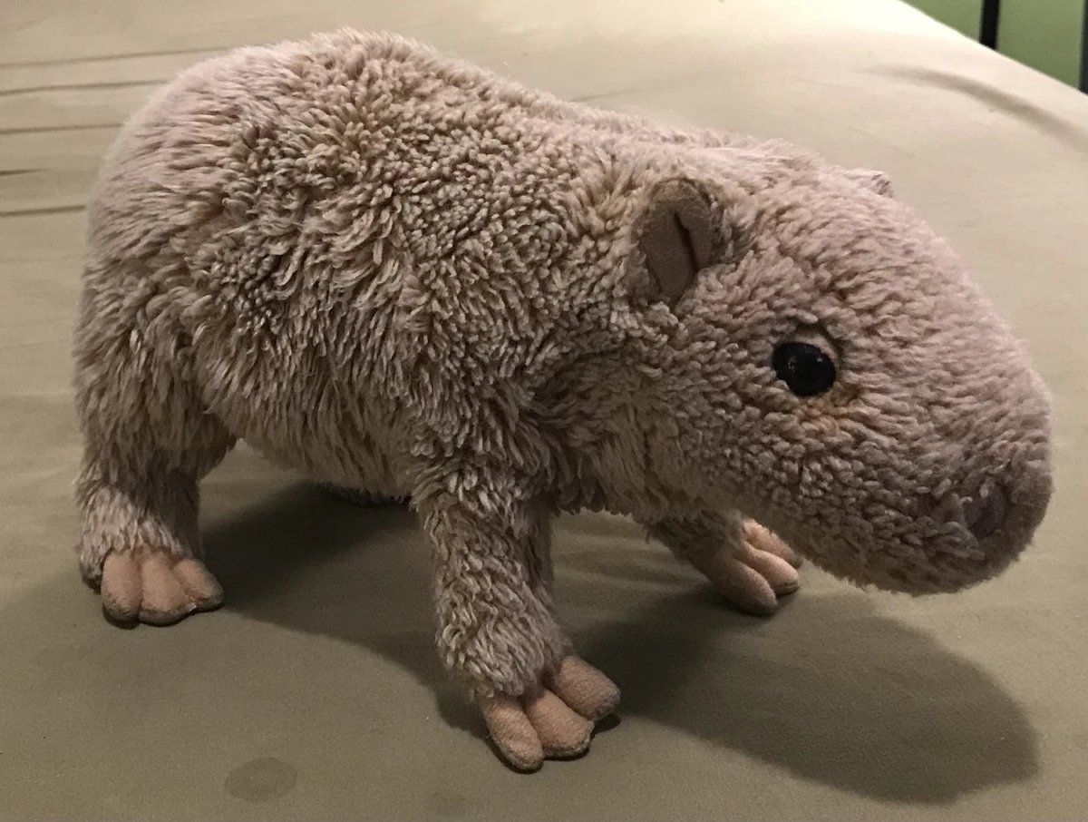 Tito | Emmett's Stuffed Animals Wiki | Fandom