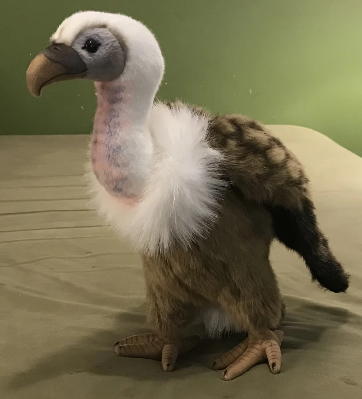 Voltar | Emmett's Stuffed Animals Wiki | Fandom