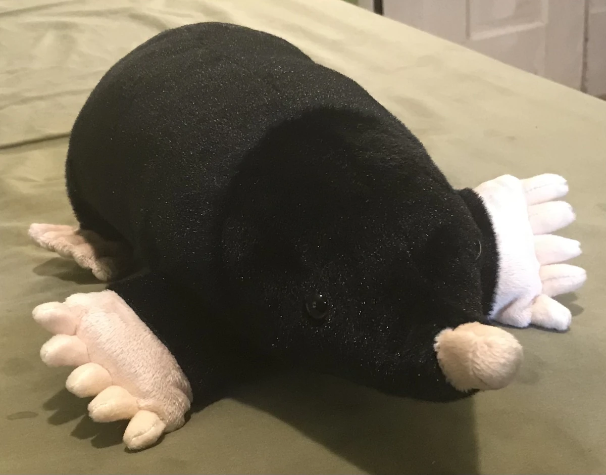 Double Oh | Emmett's Stuffed Animals Wiki | Fandom