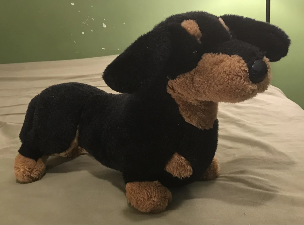 Spats | Emmett's Stuffed Animals Wiki | Fandom