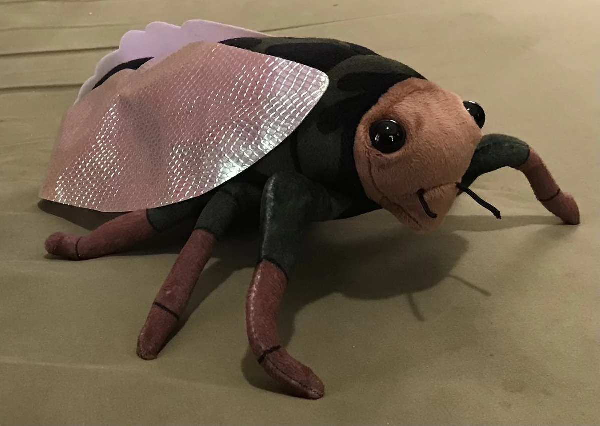 Cyril | Emmett's Stuffed Animals Wiki | Fandom