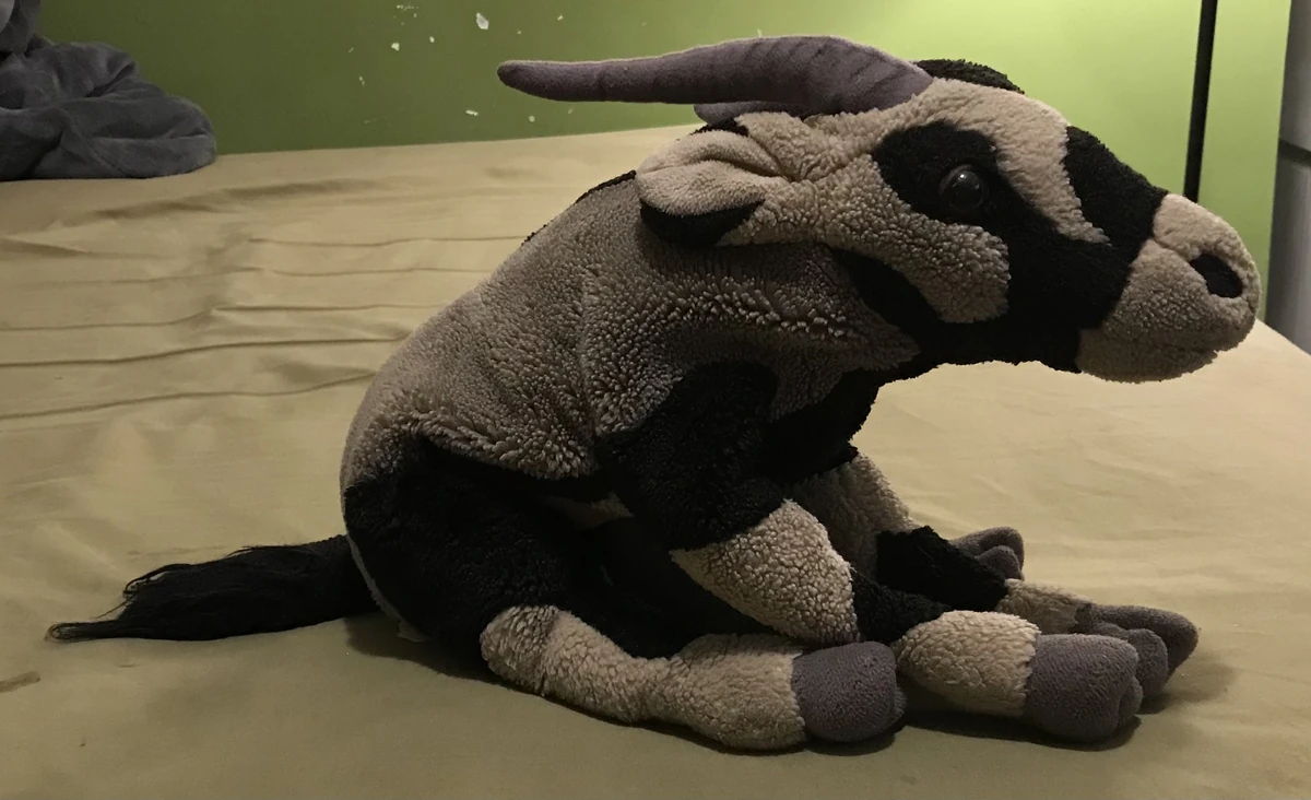 Gordon | Emmett's Stuffed Animals Wiki | Fandom