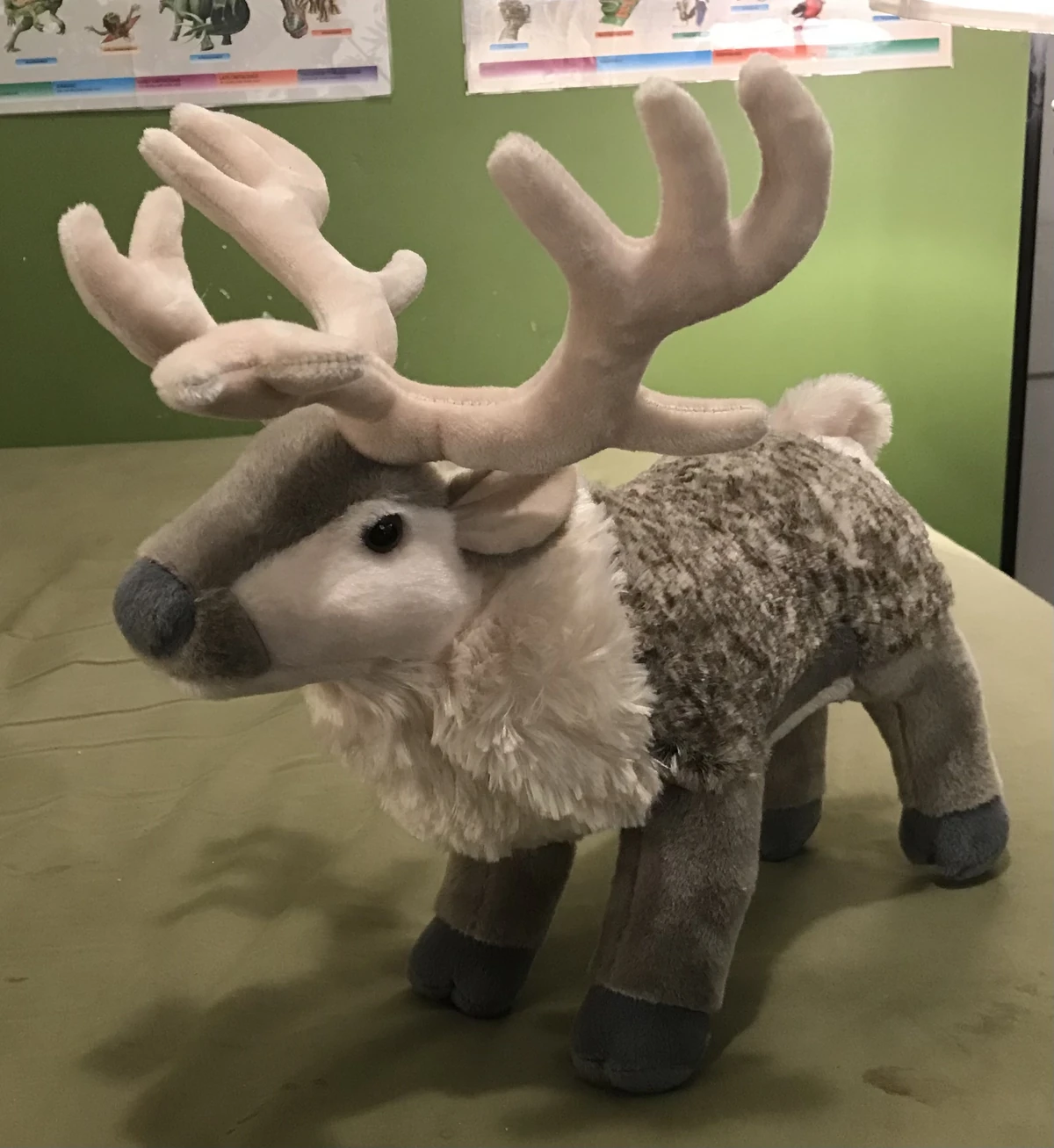 Ryan | Emmett's Stuffed Animals Wiki | Fandom