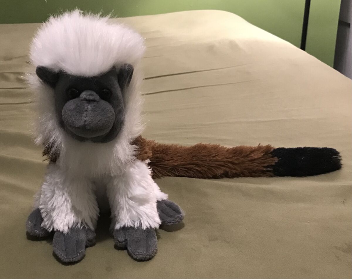 Jebediah | Emmett's Stuffed Animals Wiki | Fandom Jebediah | Emmett's Stuffed Animals Wiki | Fandom