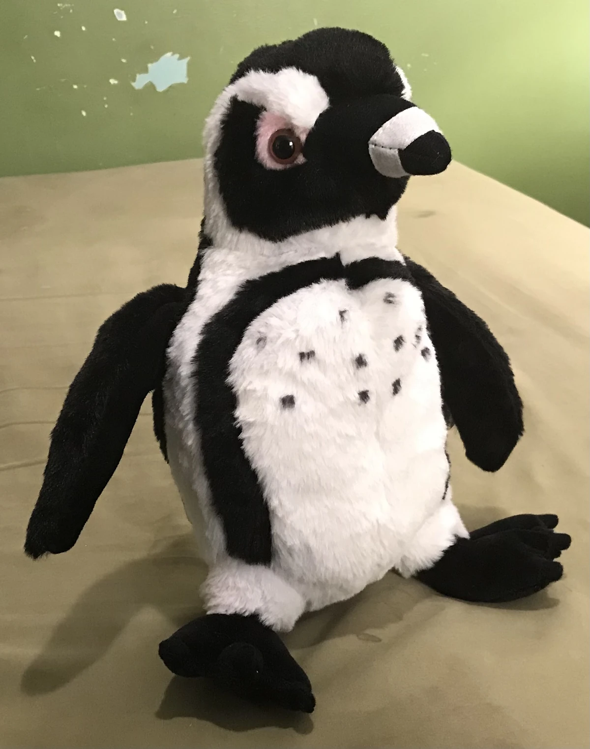 Daniel | Emmett's Stuffed Animals Wiki | Fandom