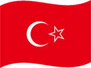 Flag: Fezzan | Emoji Fanon Wiki | Fandom