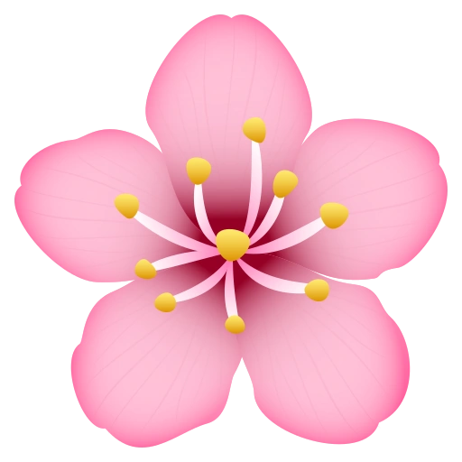 Cherry Blossom | Emoji Wiki | Fandom