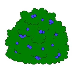 Berry Bush Cartoon