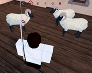 Sheep | Napoleonic Wars Wiki | Fandom