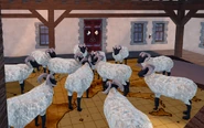 Sheep | Napoleonic Wars Wiki | Fandom