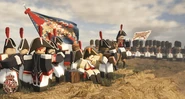 Guardia Valona | Napoleonic Wars Wiki | Fandom