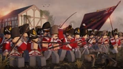 56th "Pompadours" Regiment of Foot | Napoleonic Wars Wiki | Fandom