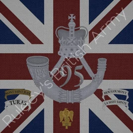 95th "The Grasshoppers" Rifles Regiment | Napoleonic Wars Wiki | Fandom