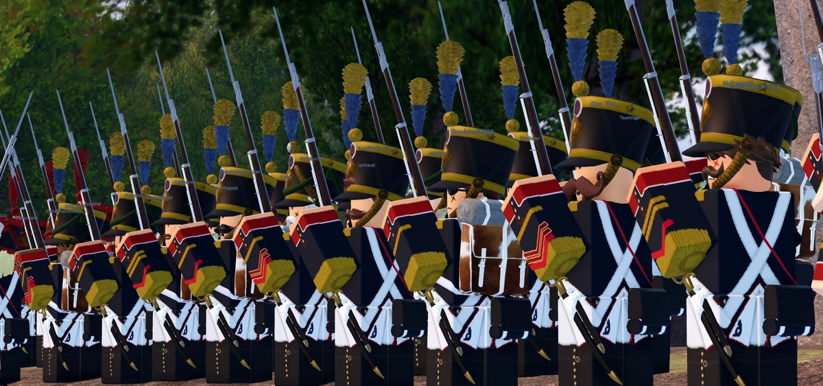 21ème Régiment d'Infanterie de Ligne | Napoleonic Wars Wiki | Fandom