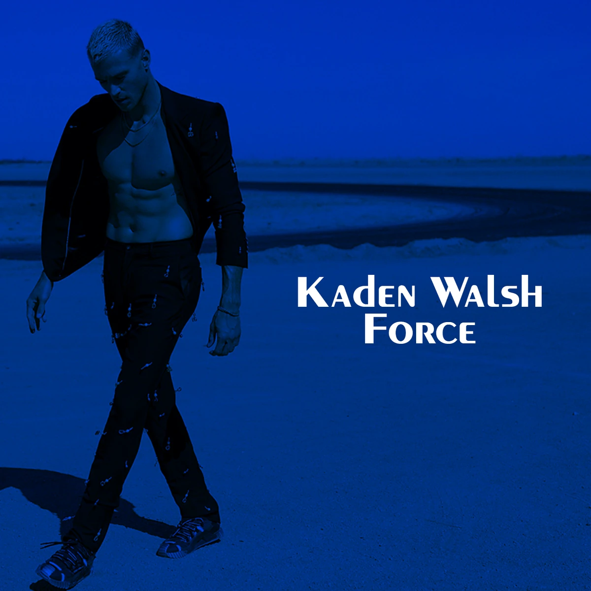 Force | Empire Legends Wiki | Fandom
