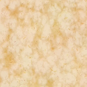 Empire Earth Wiki | Fandom