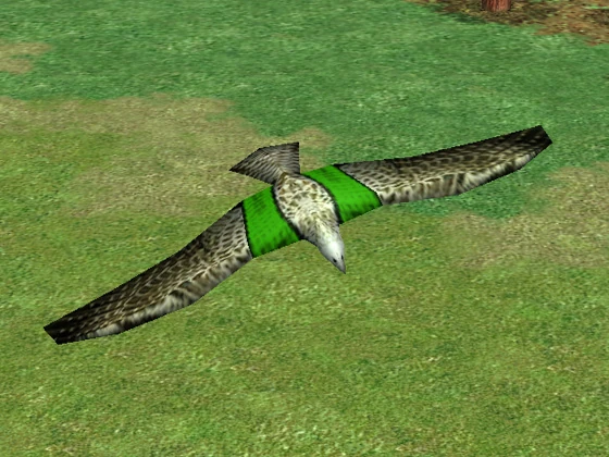 Falcon | Empire Earth Wiki | Fandom