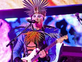 Snappy Dolphin Steele And Luke