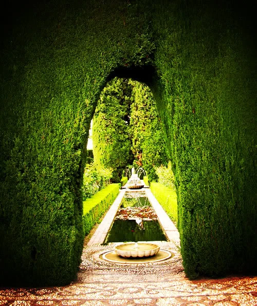 Rabbit Hole | Empire Wiki | Fandom