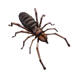 Sun Spider | Empires of the Undergrowth Wiki | Fandom