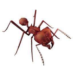 Leafcutter Ant | Empires of the Undergrowth Wiki | Fandom