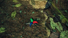 Jumping Spider | Empires of the Undergrowth Wiki | Fandom