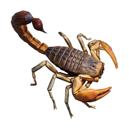 Alligator Back Scorpion | Empires of the Undergrowth Wiki | Fandom